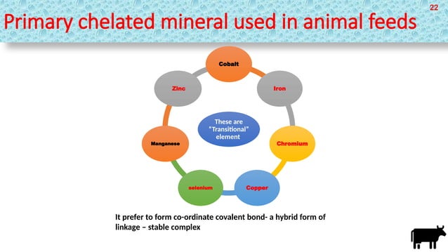 Role of Supplementation of Chelated Minerals in Ruminant Production ...