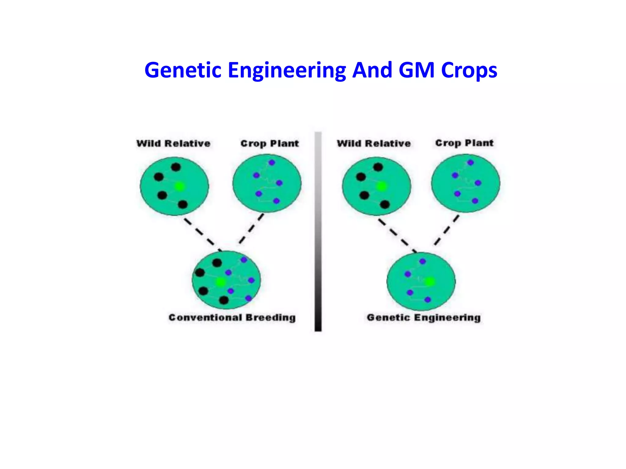 Prabhat MBB-602 Conventional versus non-conventional methods for crop improvement ppt 1 Unit 1.pptx