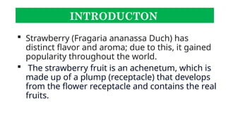 Production Technology Of Strawberry .... | PPTX