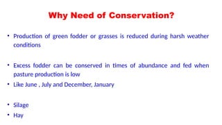 Prac-10_Fodder Preservationsssssssssssssssssss.pptx