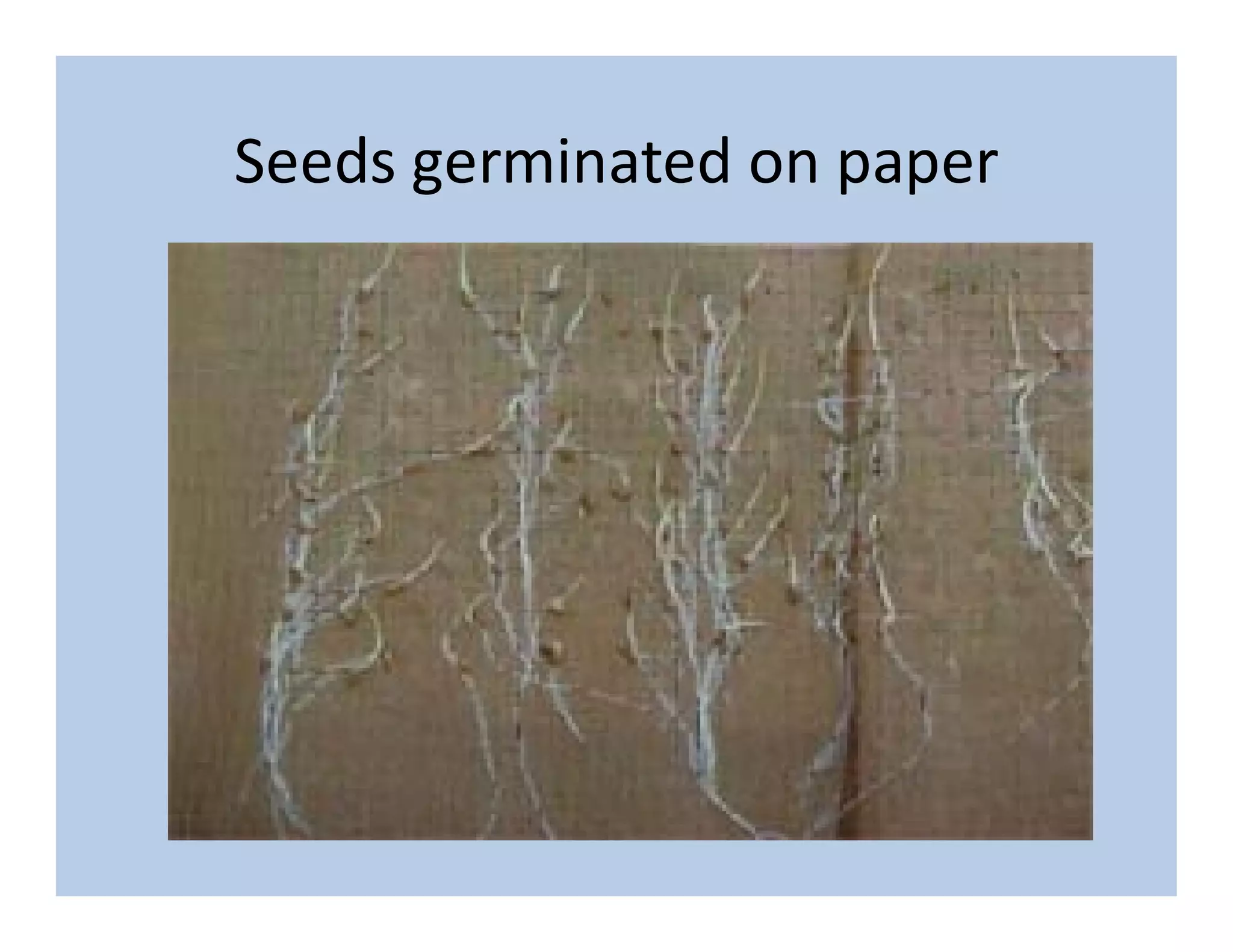 Seed Physical purity & germination tests | PDF