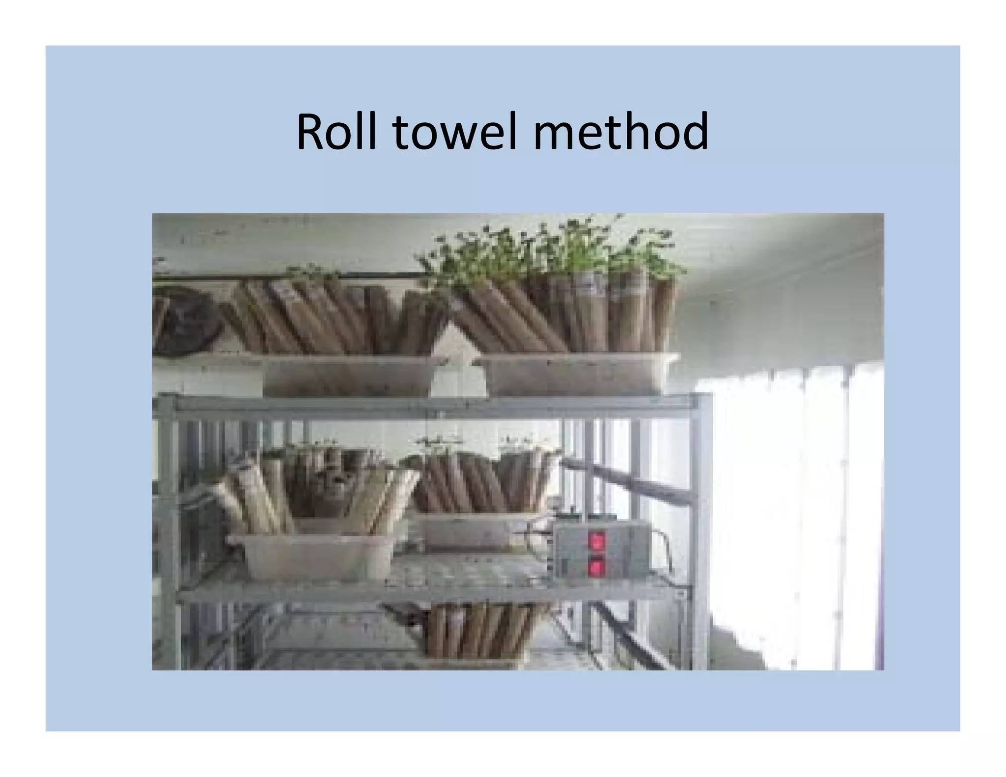 Seed Physical purity & germination tests | PDF