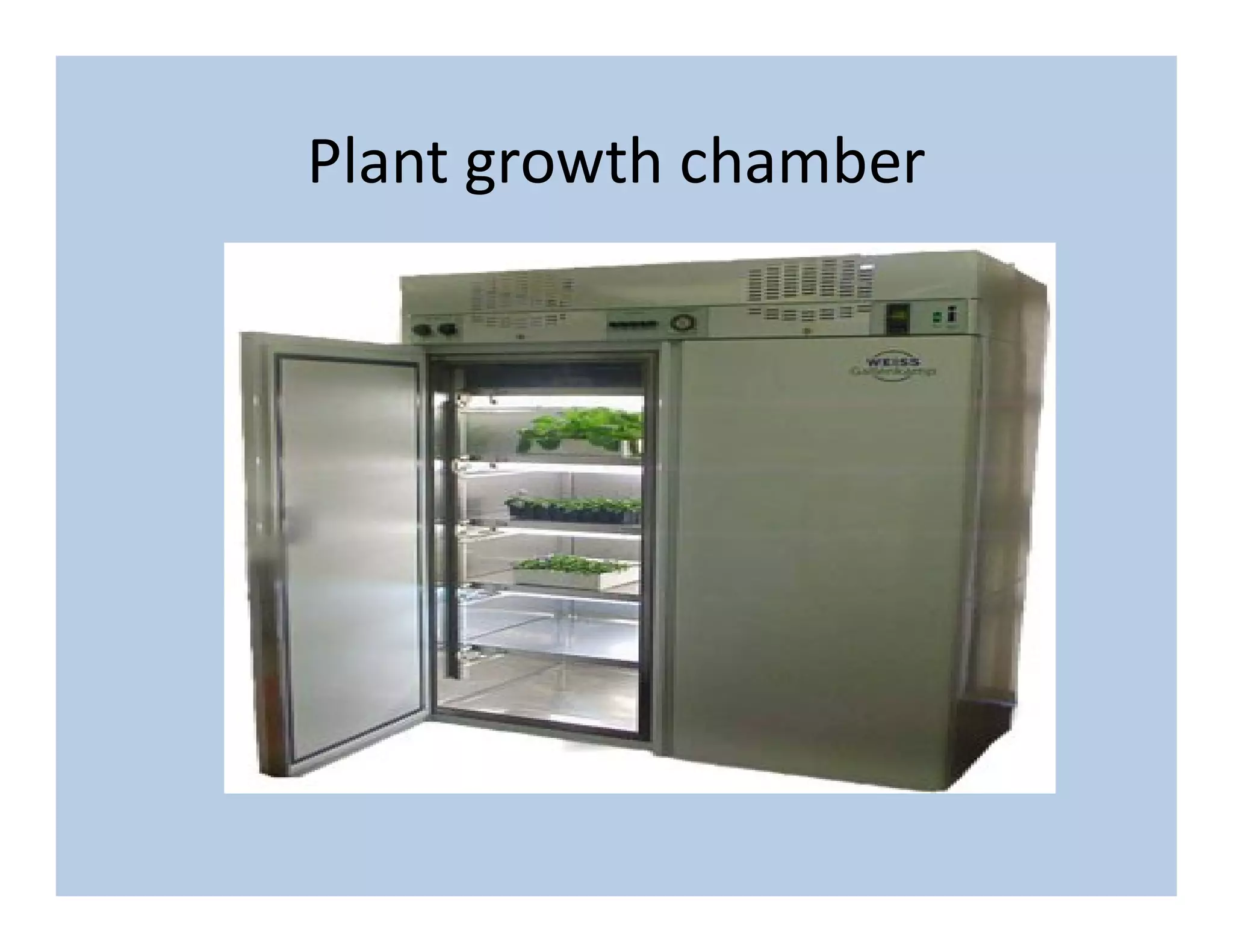 Seed Physical purity & germination tests | PDF