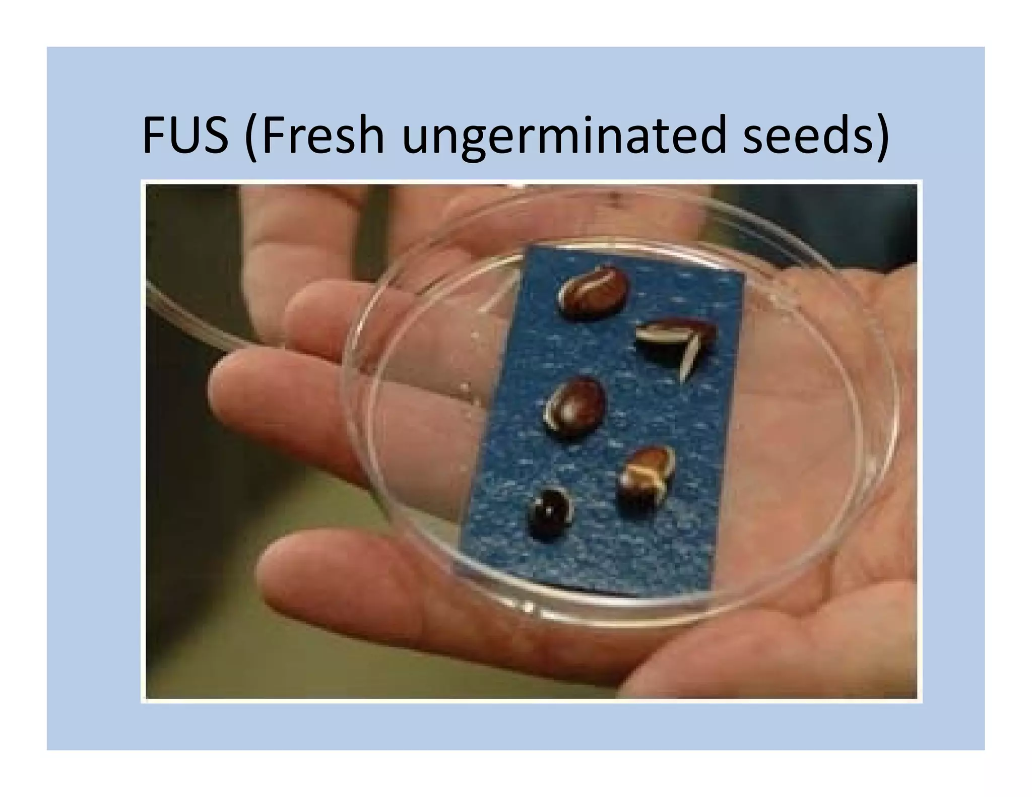 Seed Physical purity & germination tests | PDF