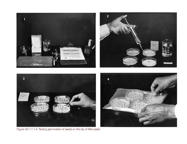 Seed Physical purity & germination tests | PDF | Gardening | Home & Garden