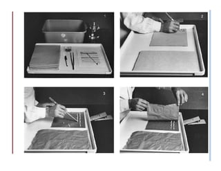 Seed Physical purity & germination tests | PDF