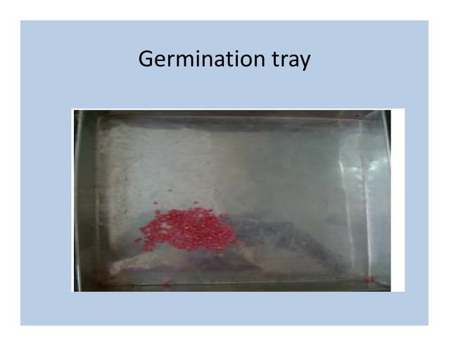 Seed Physical purity & germination tests | PDF | Gardening | Home & Garden
