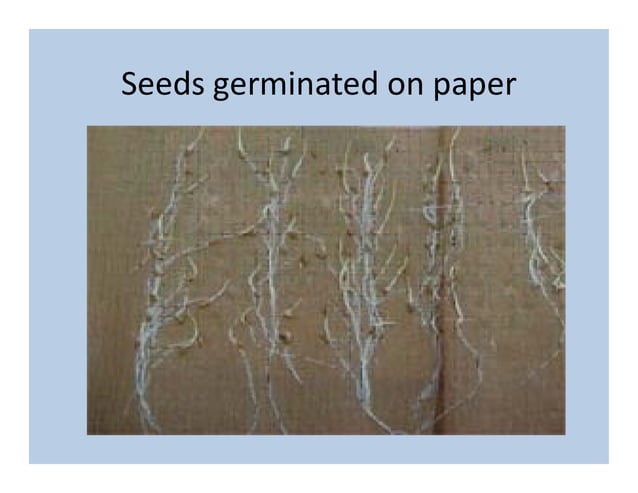 Seed Physical purity & germination tests | PDF | Gardening | Home & Garden