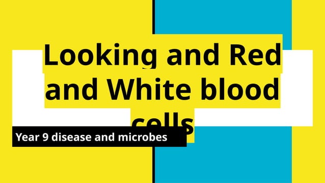 Prac- Looking and Red and White blood cells.pptx
