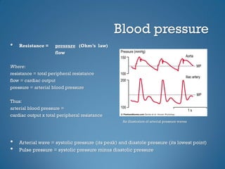 Blood Pressure Measurement (2011) | PDF