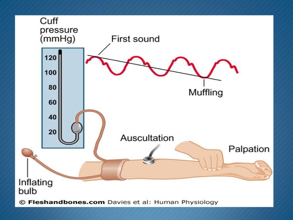 Blood Pressure Measurement 2011 Blood Pressure Measurement 2011