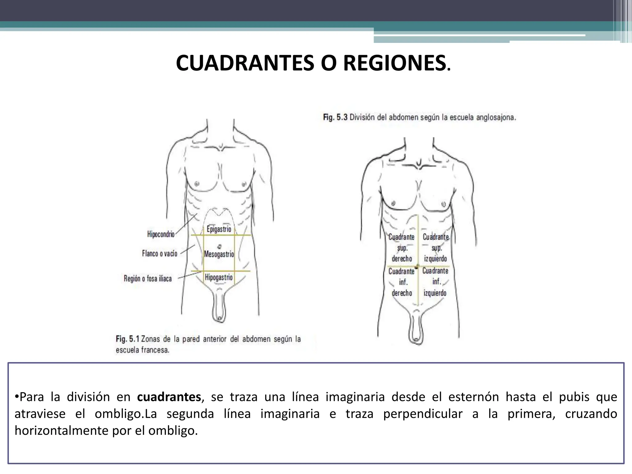 PRAC GASTROENTEROLOGIA- Semiologia abdominal.pptx
