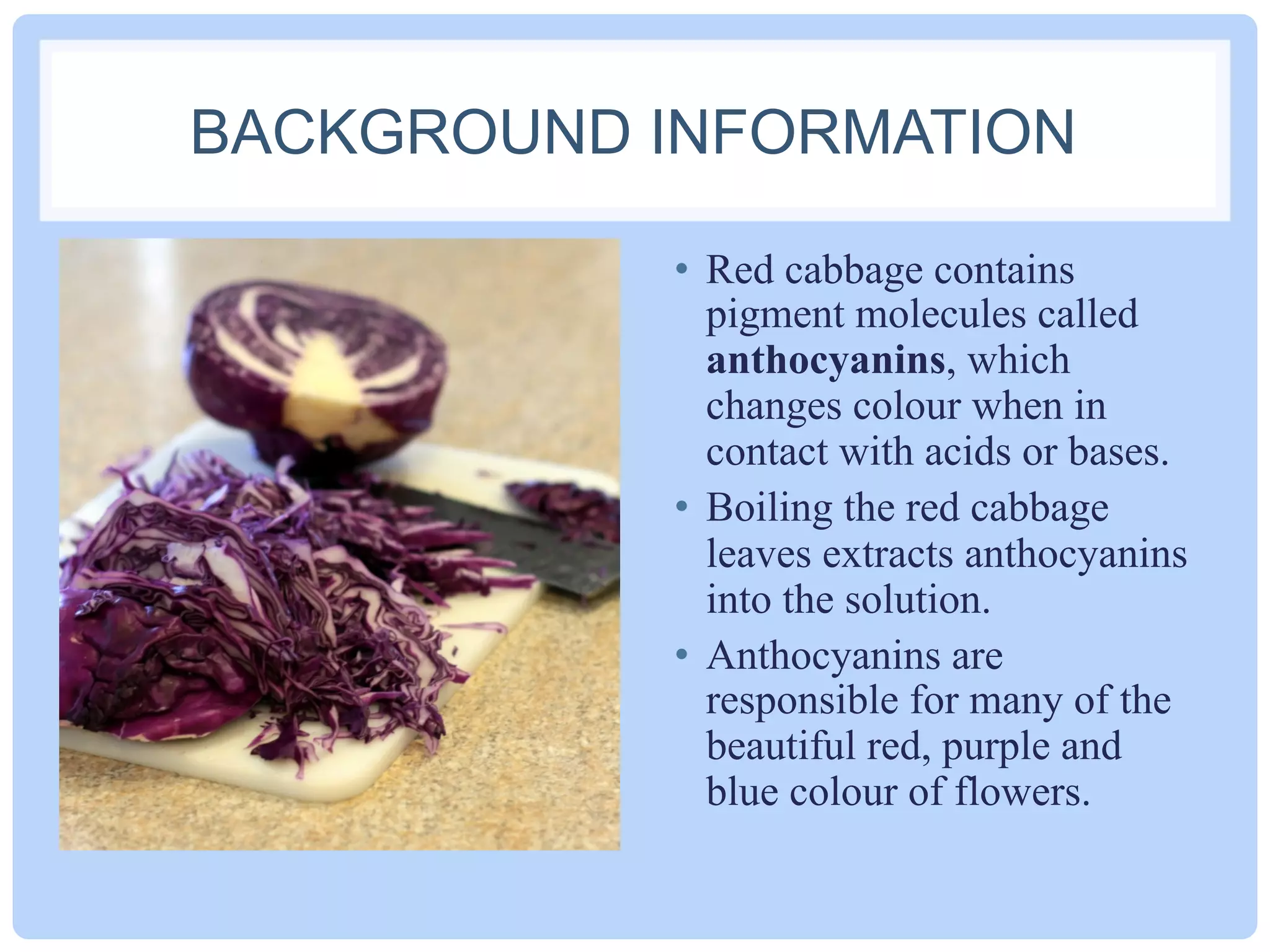Prac - Making a red cabbage indicator | PDF