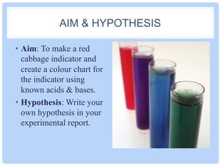 Prac - Making a red cabbage indicator | PDF