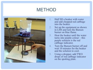 Prac - Making a red cabbage indicator | PDF