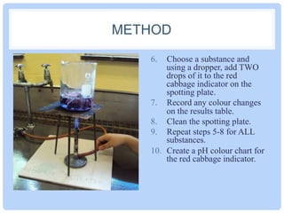 Red Cabbage Indicator Results