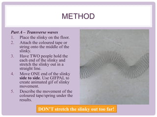 Transverse Wave Slinky