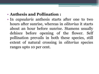 Pract. no. 2 (b) jute floral biology | PPT