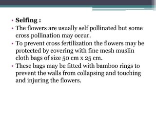 Pract. no. 2 (b) jute floral biology | PPT