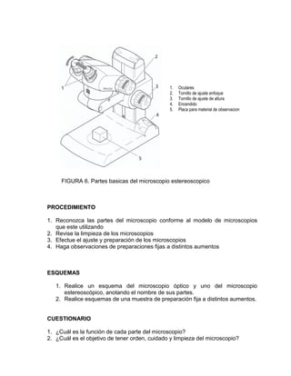 practica-1 microscopio.pdf