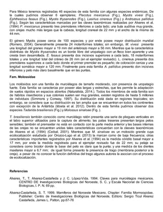 Práctica 4. Orden: Chiroptera. | DOCX