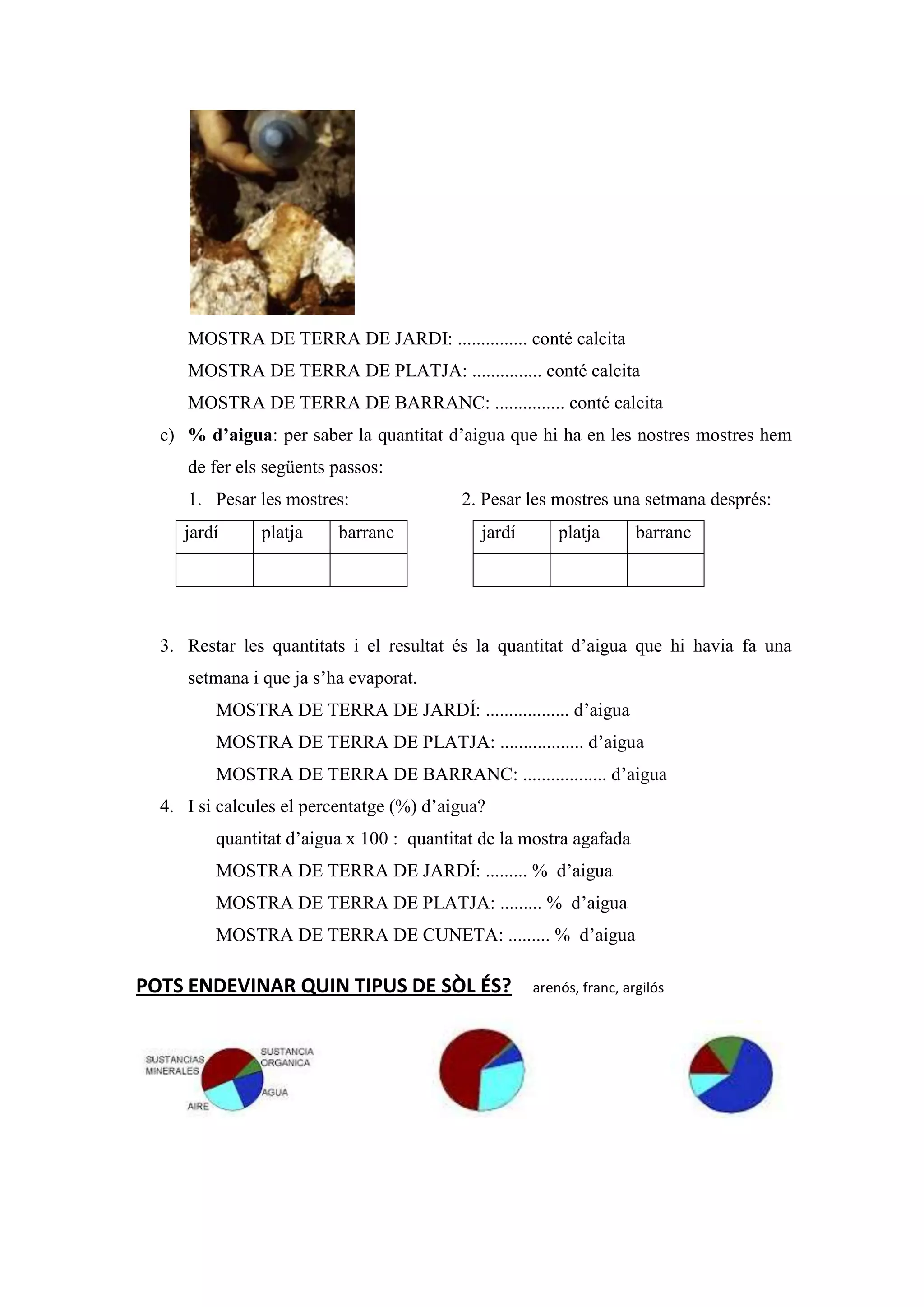 Practica 13 el sòl | PDF