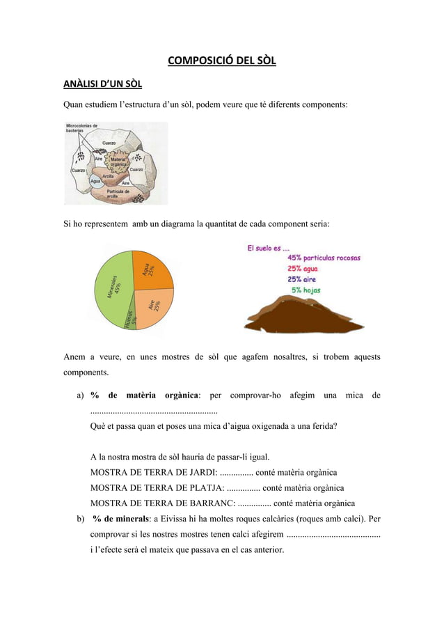 Practica 13 el sòl | PDF