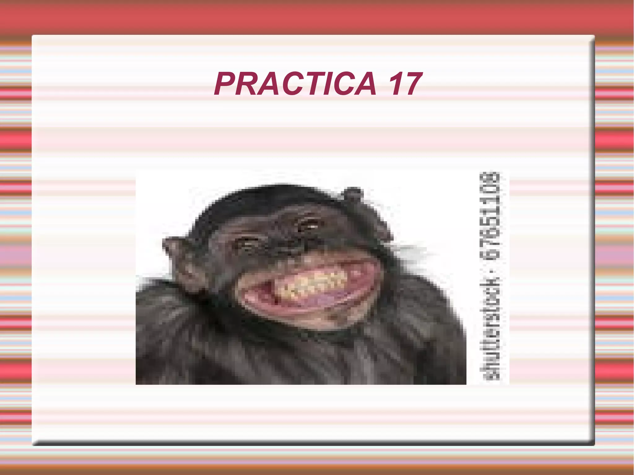 Practica17 | PPT