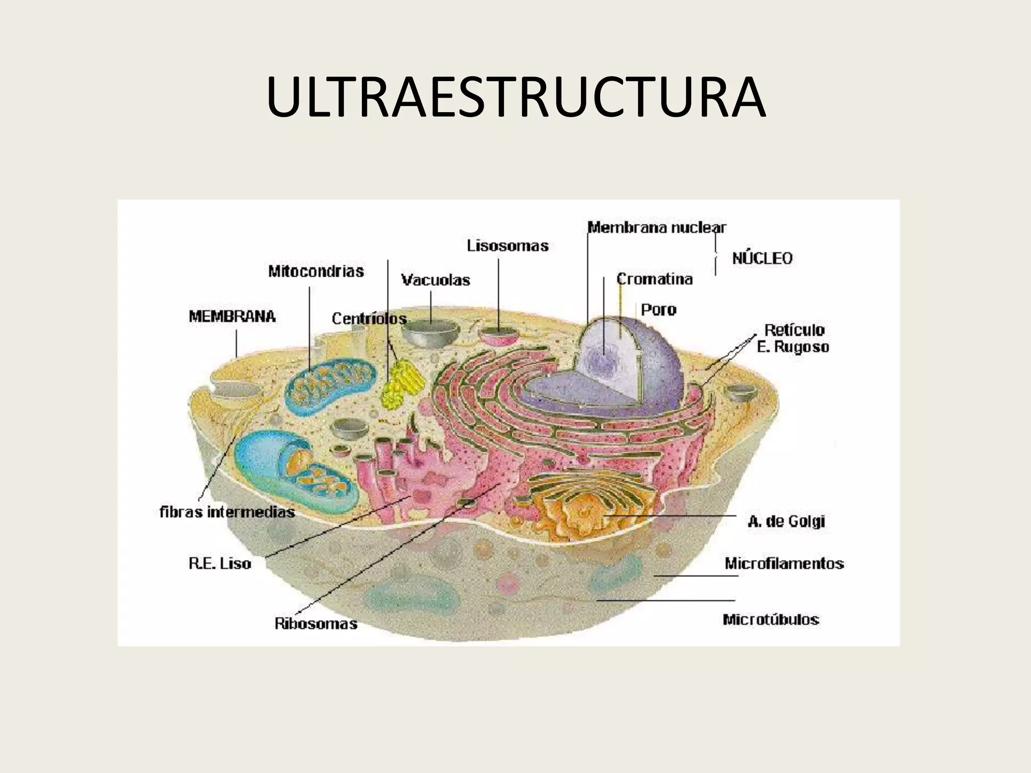 PRACTICA 1 Formas y colores.pptx