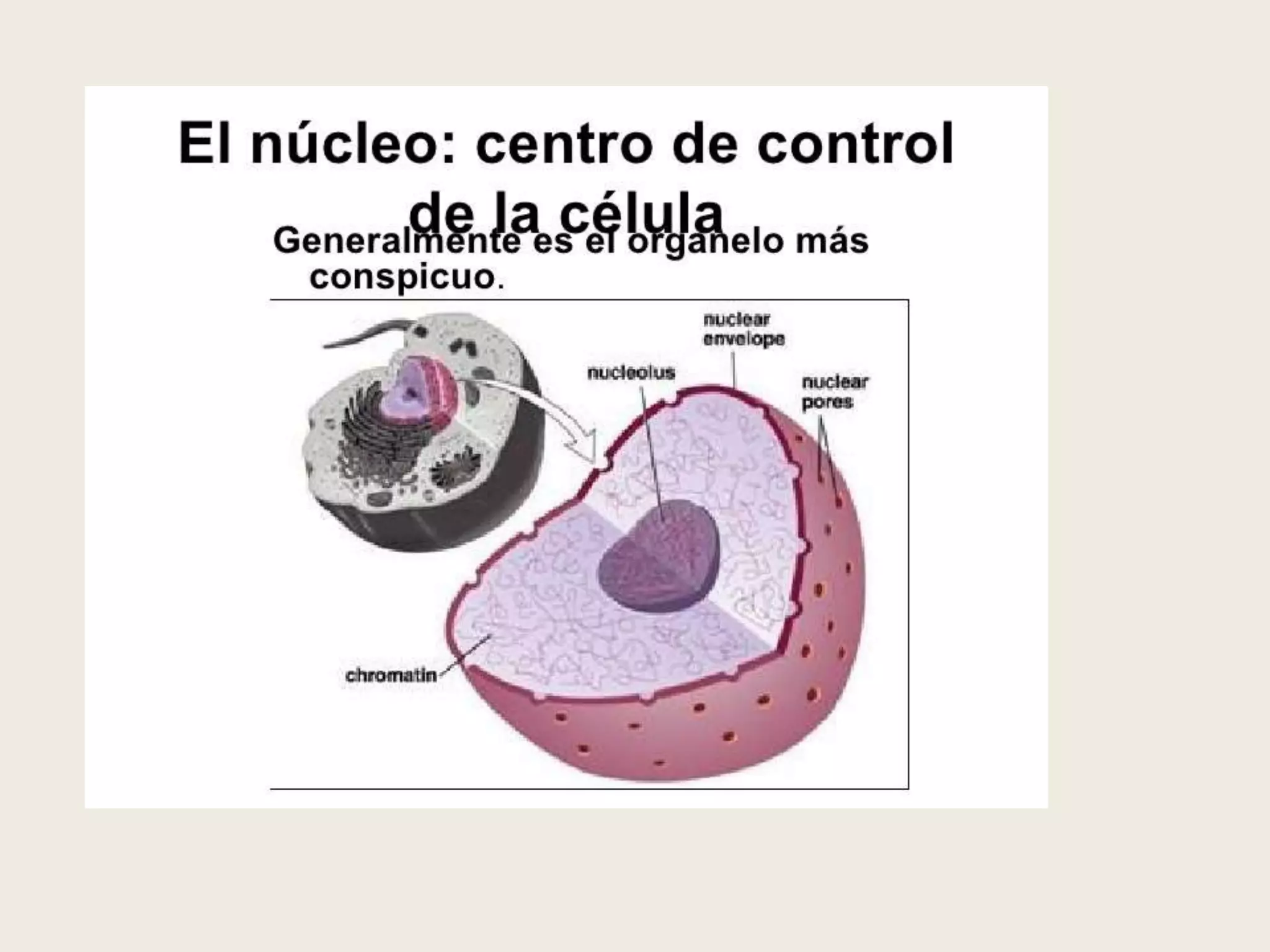 PRACTICA 1 Formas y colores.pptx