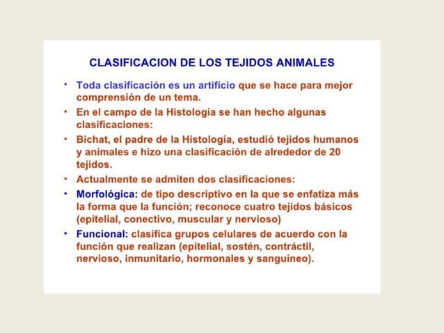 PRACTICA 1 Formas y colores.pptx