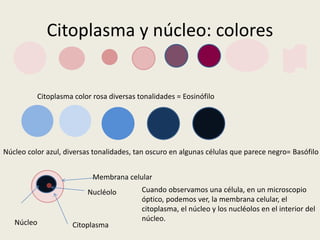 PRACTICA 1 Formas y colores.pptx