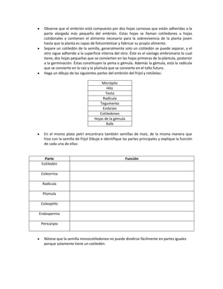 Practica La Semilla | DOCX
