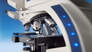PRACTICA 1 METODO CIENTIFICO MICROSCOPIA Y ARTEFACTOS.pptx