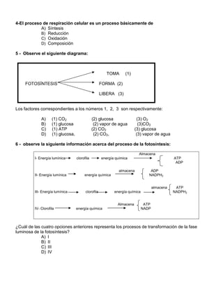 Practica 2016 fotosintesis respiracion celular | PDF
