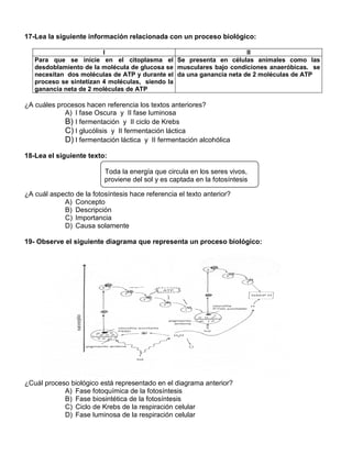 Practica 2016 fotosintesis respiracion celular | PDF