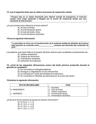 Clave De Respuestas De La Hoja De Trabajo De Respiración Celular