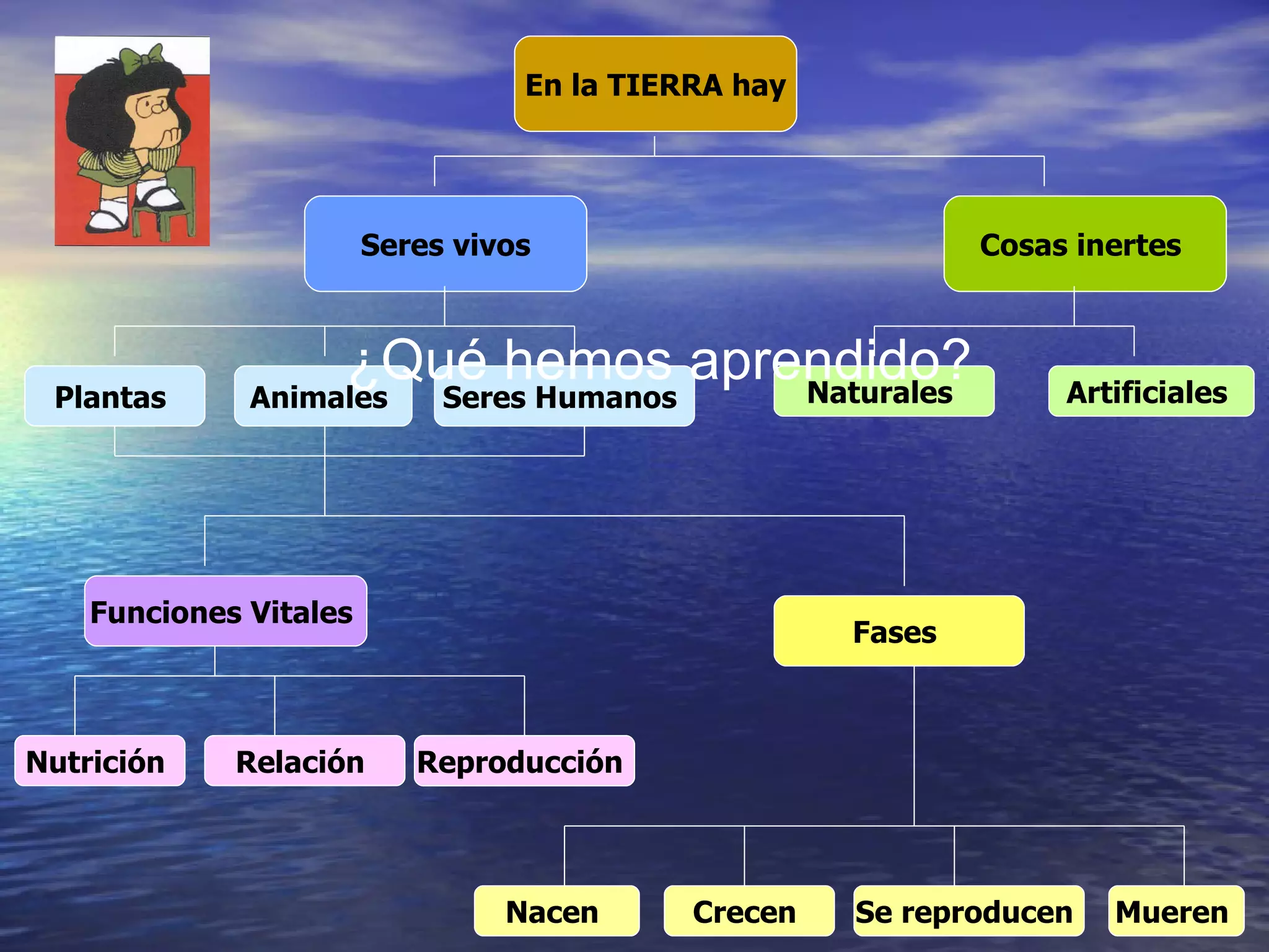Seres vivos y objetos inertes | PPT
