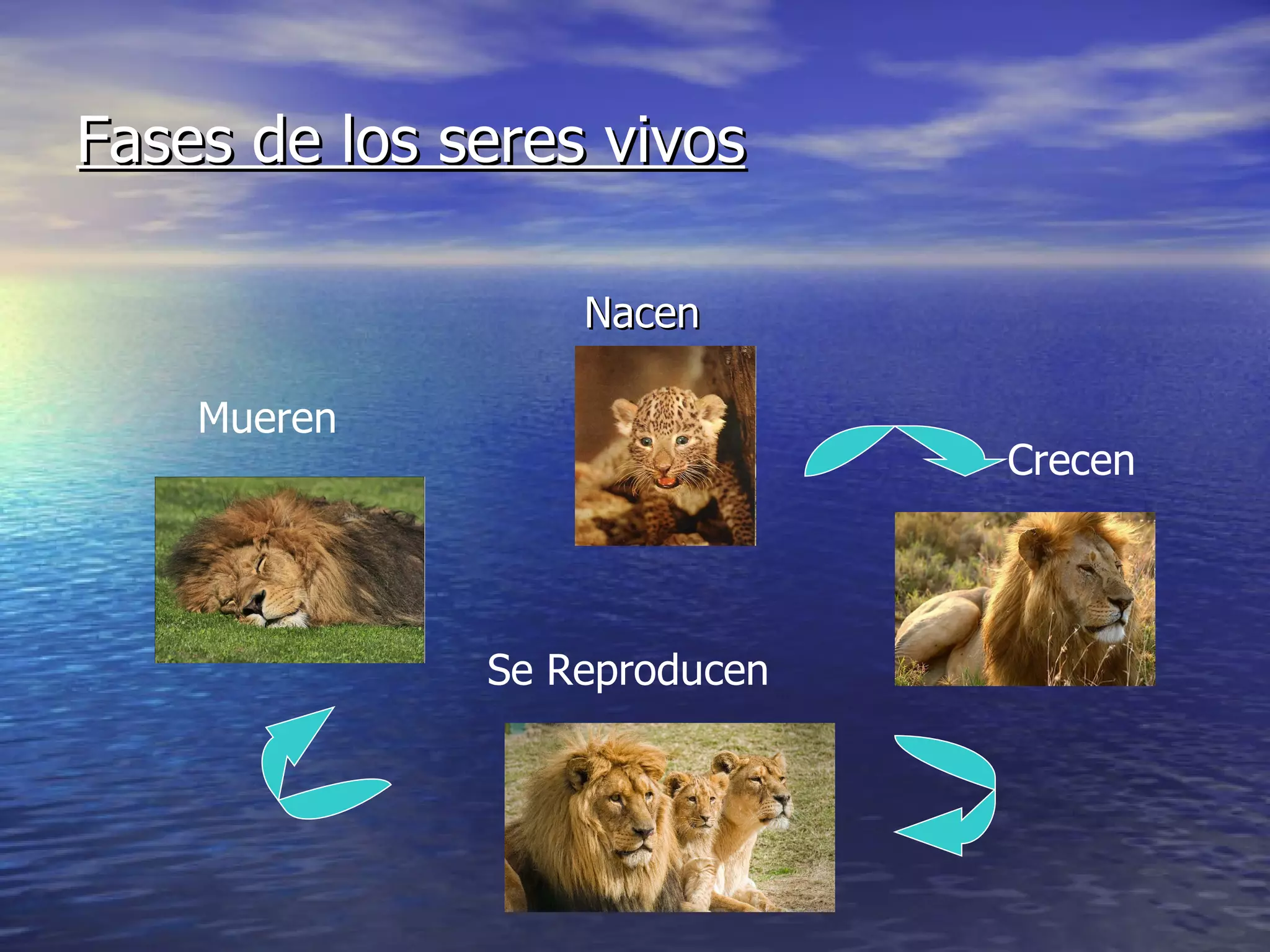 Seres vivos y objetos inertes | PPT