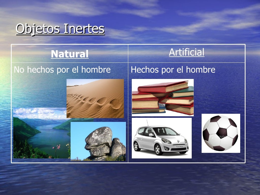 Seres vivos y objetos inertes
