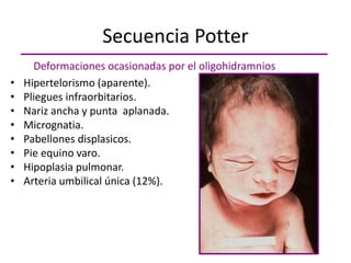 Practica 29 patologia urinario | PPTX