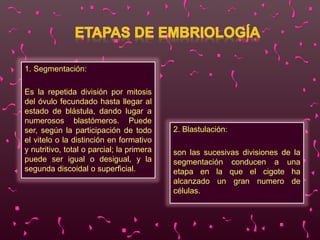 Practica2 desarrollo embrionario | PPTX