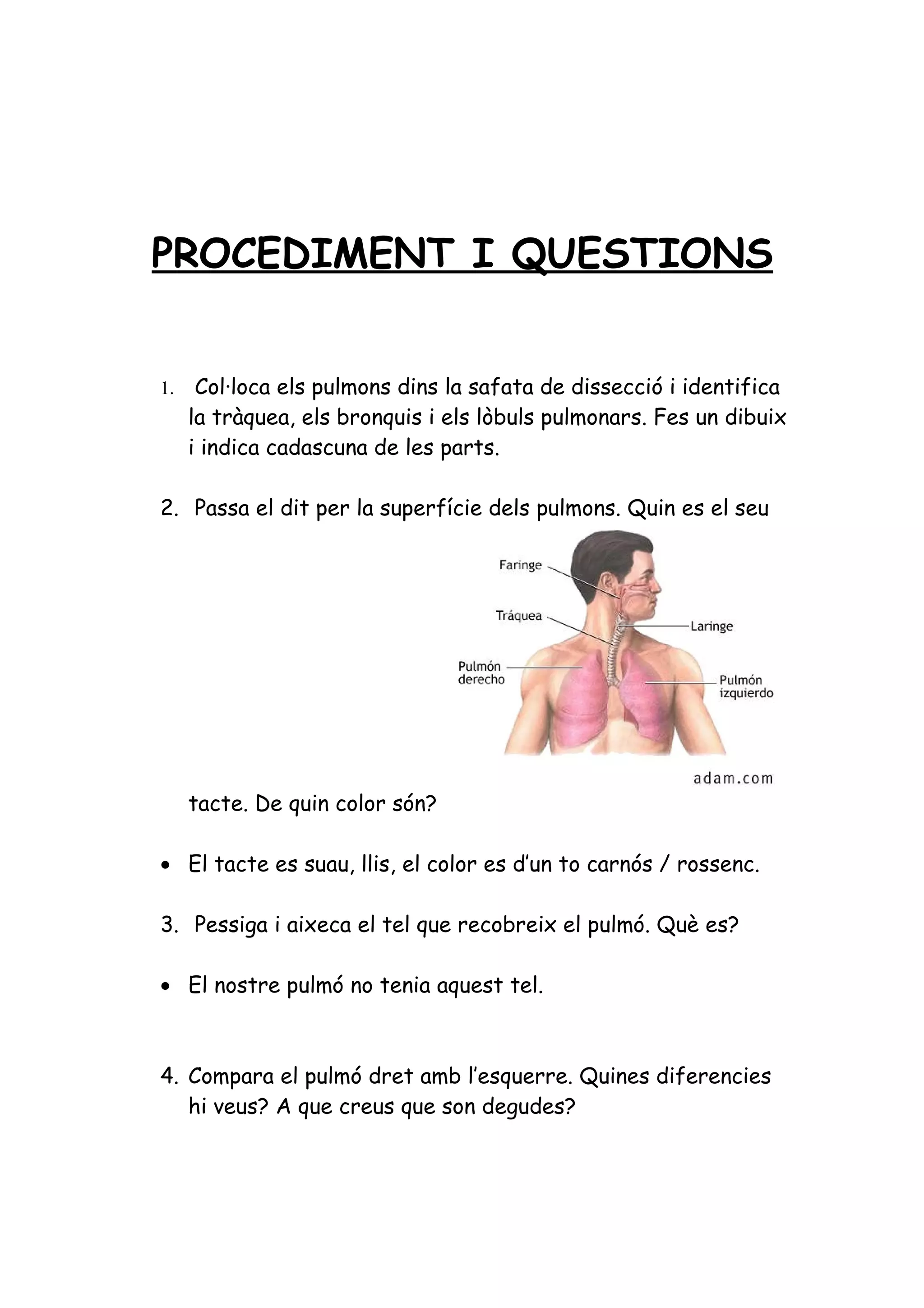 Practica 4 | DOC