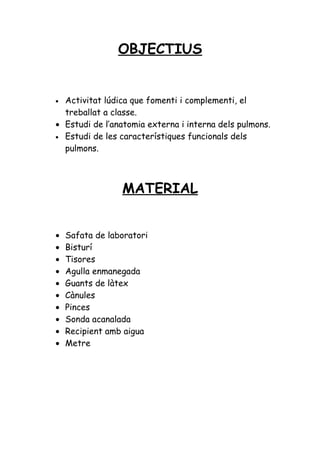 Practica 4 | PDF