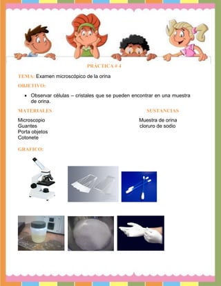 PRACTICA 4: examen microscopico de la orina | PDF