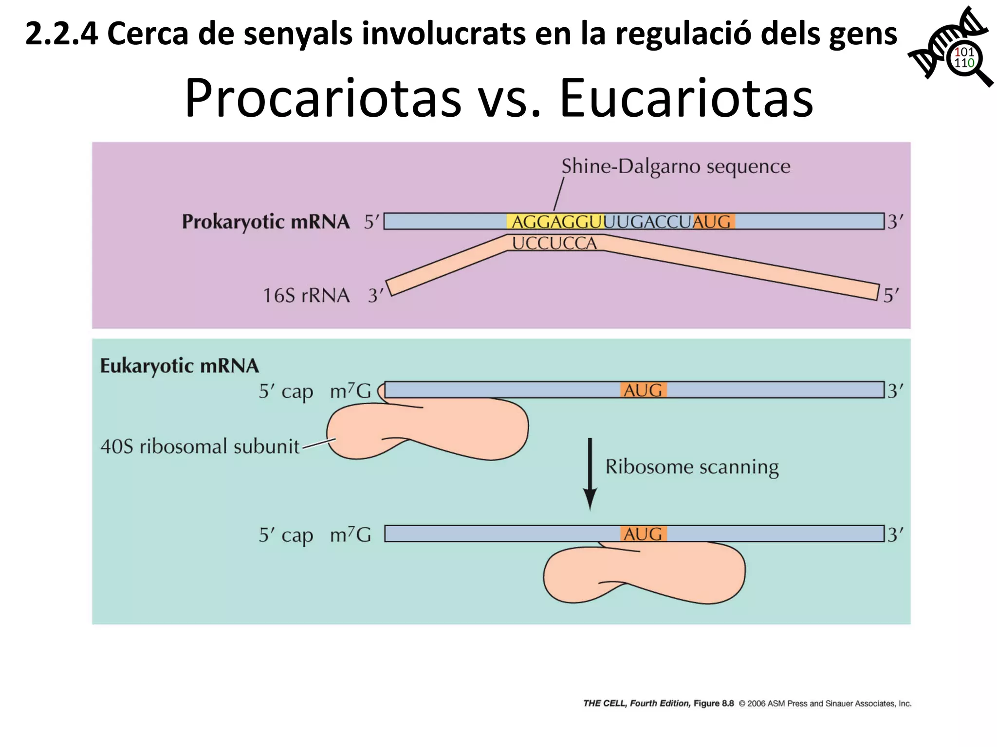 Practica5 Bioinformatica | PDF
