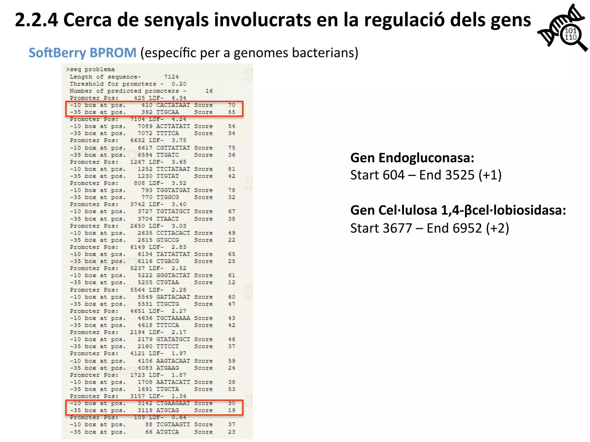 Practica5 Bioinformatica | PPT