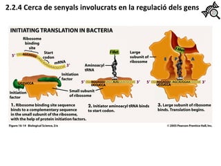 Practica5 Bioinformatica | PPT