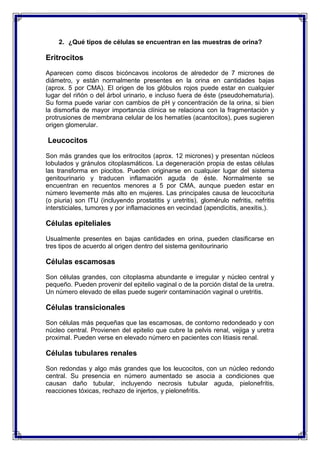 Practica #5 examen microscopico de la orina | DOCX