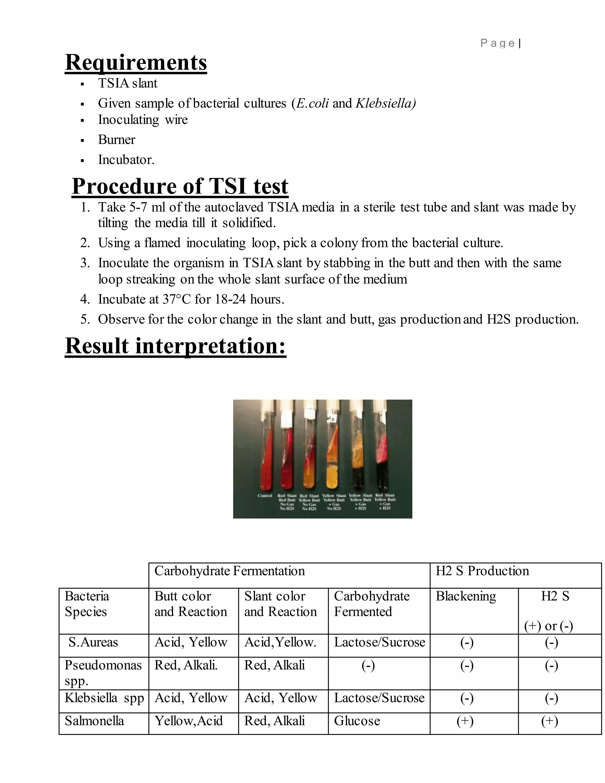 Carbohydrate Fermentation, Tripe Sugar Iron Agar Test, IMViC Test Part ...